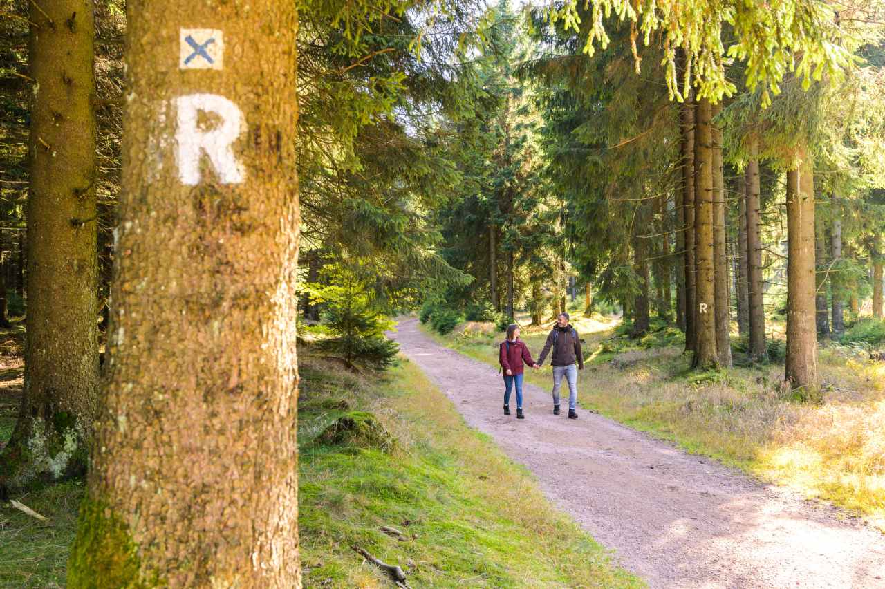 Wanderungen auf den "Rennsteig-Leitern" im Thüringer Wald