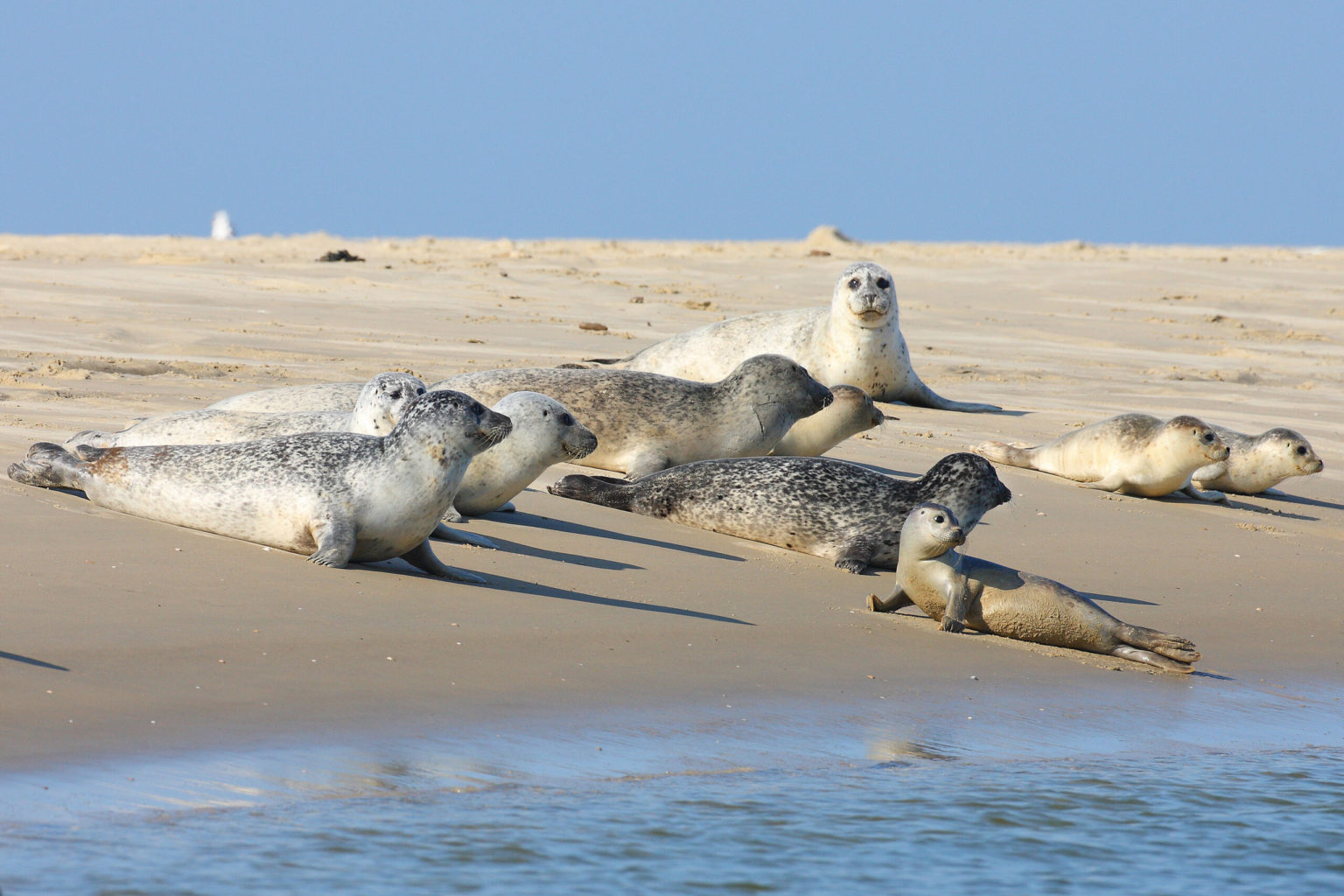 Promenade und Hauptstrand von Borkum. Flaniermeile der Insel