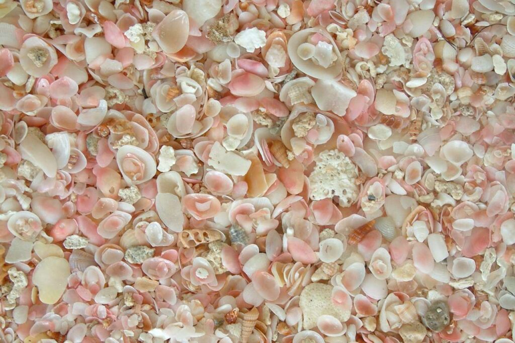 Die Farben der Strände auf Antigua und Barbuda