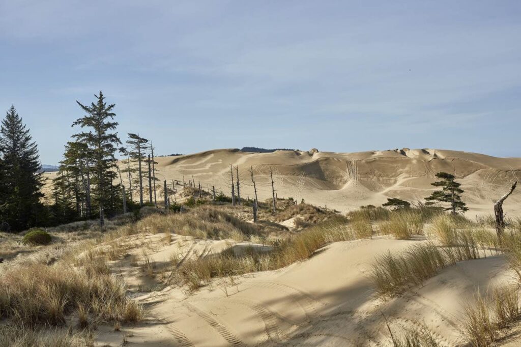 Oregon Dunes National Recreation Area. Dünen von Oregon.