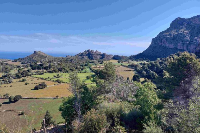 Landgut Ariant - mediterranes Naturerlebnis auf Mallorca